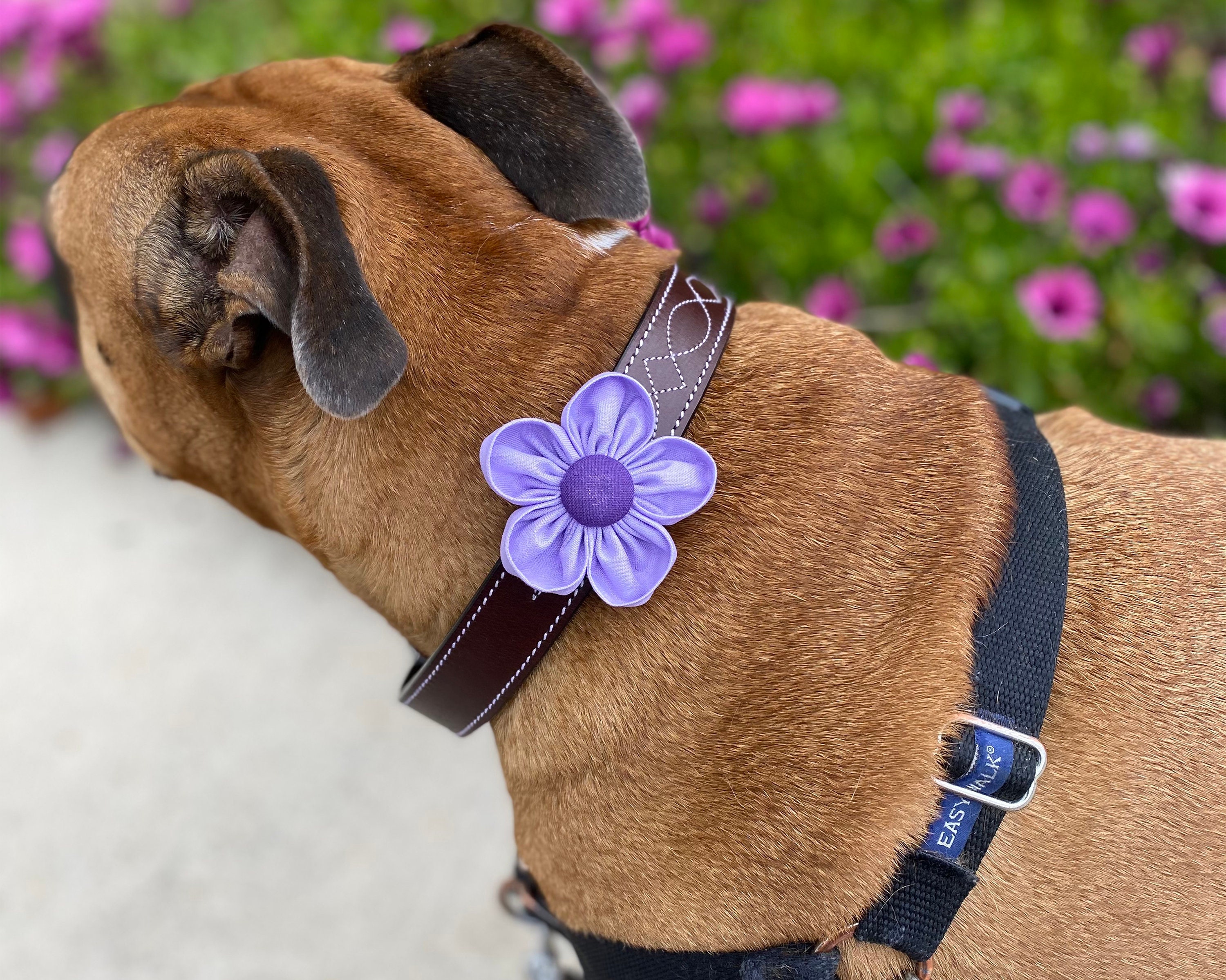Purple Daisy Flower for Dog Collar | Collar Corsage | Dog Wedding ...