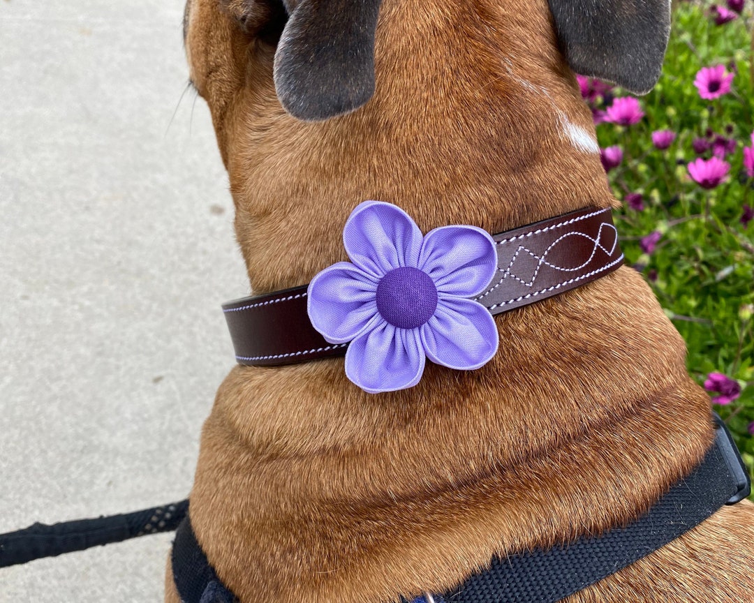 Purple Daisy Flower for Dog Collar | Collar Corsage | Dog Wedding ...
