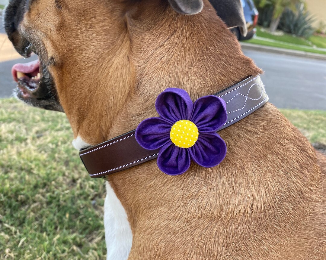 Dog Collar Flower Dark Purple Collar Corsage Dog Wedding Flower ...