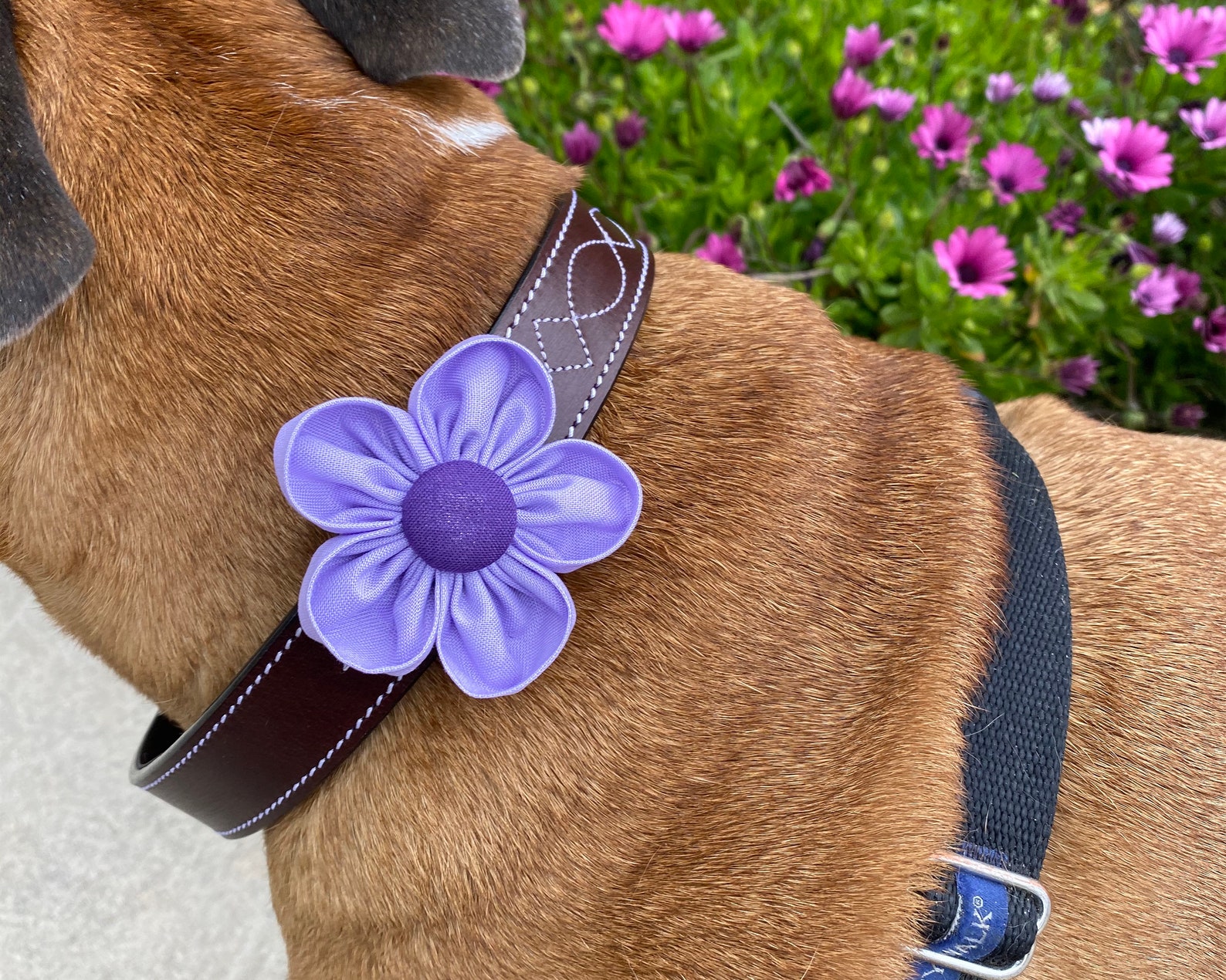 Purple Daisy Flower for Dog Collar | Collar Corsage | Dog Wedding ...