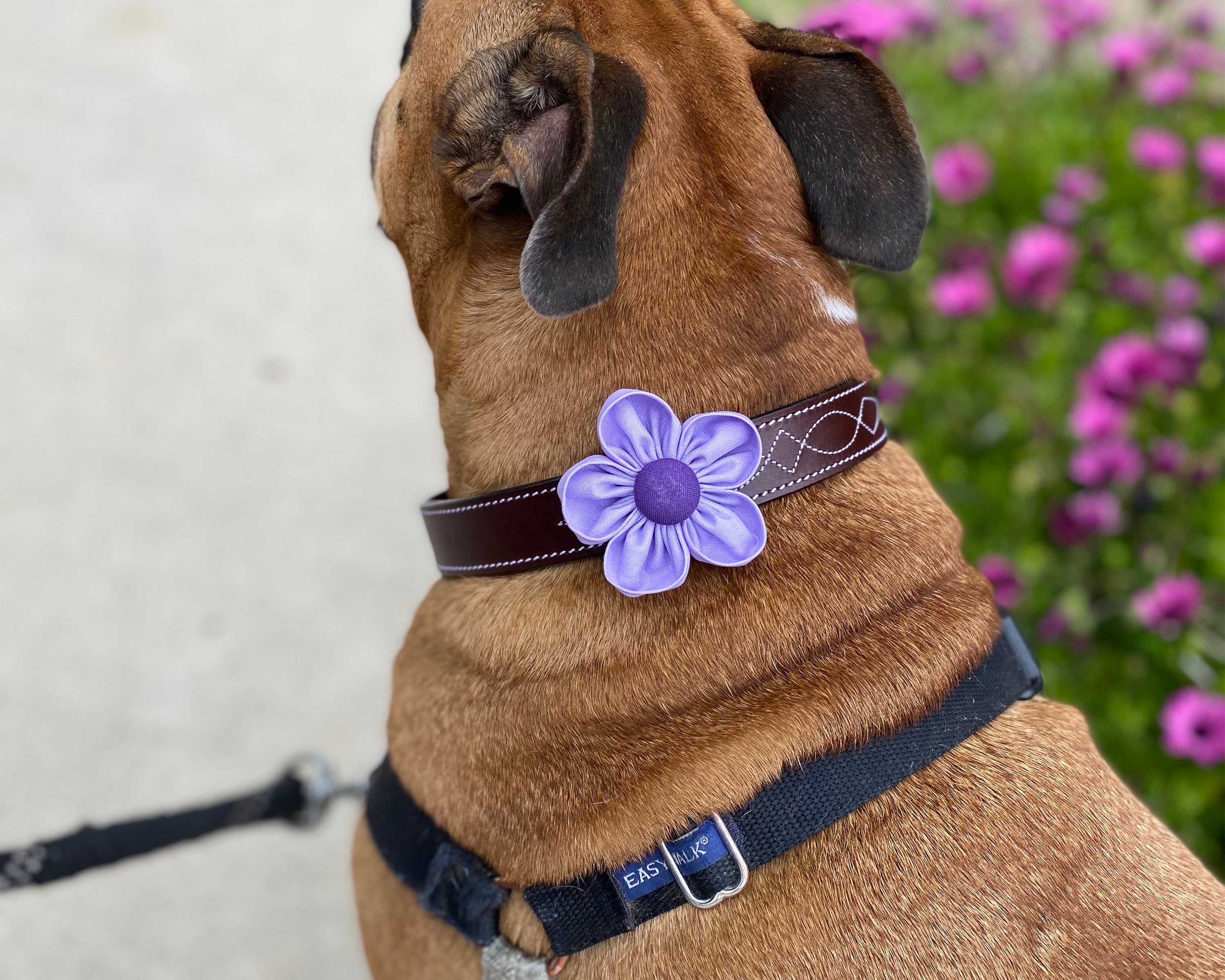 Purple Daisy Flower for Dog Collar | Collar Corsage | Dog Wedding ...