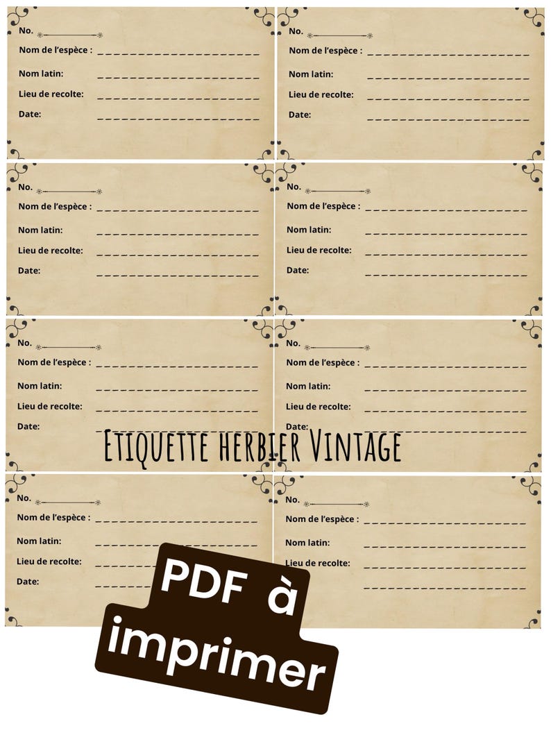 Herbarium Label - Etsy