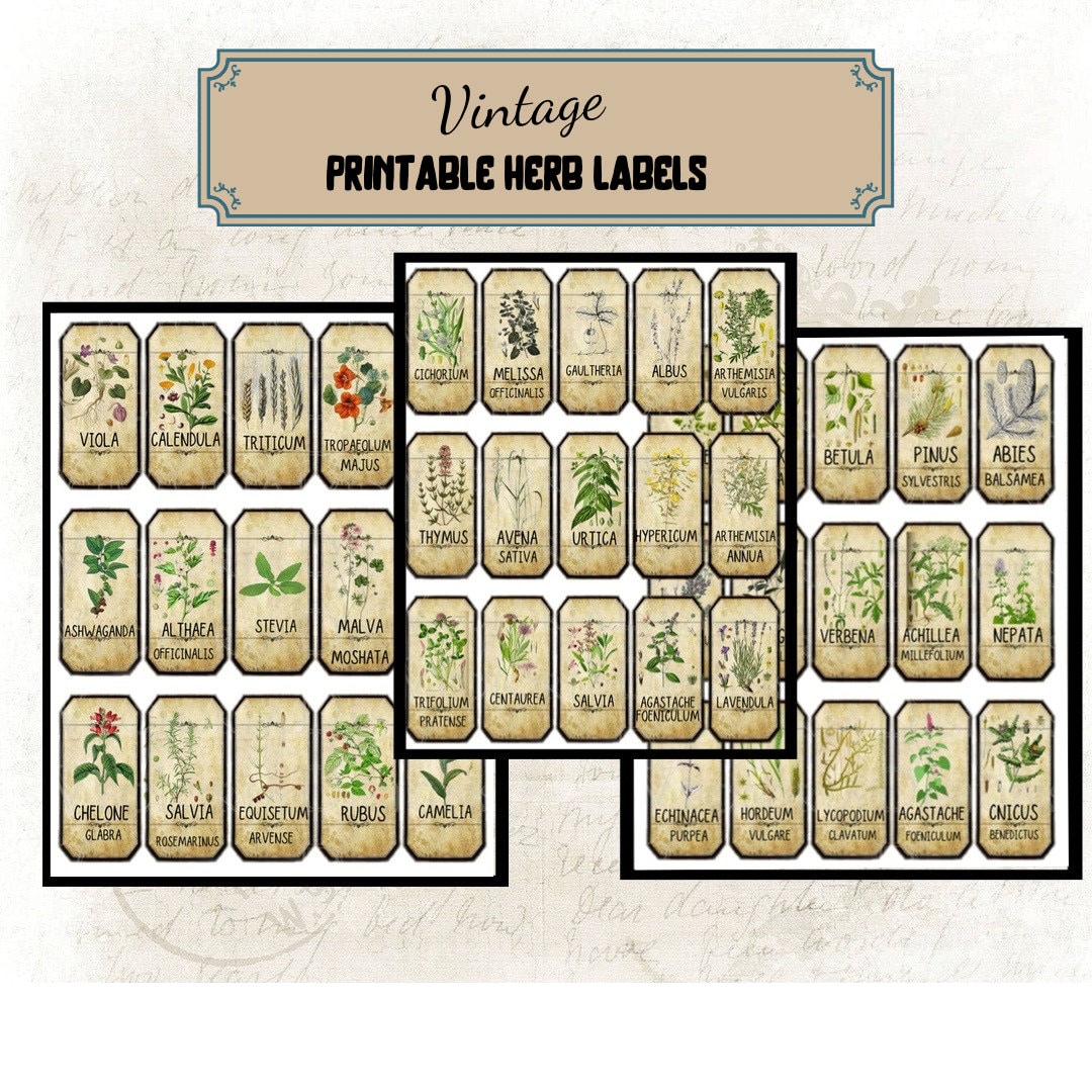 Herbal Labels Botanical LABELS/ to Print VINTAGE Style / Pot Sheet ...