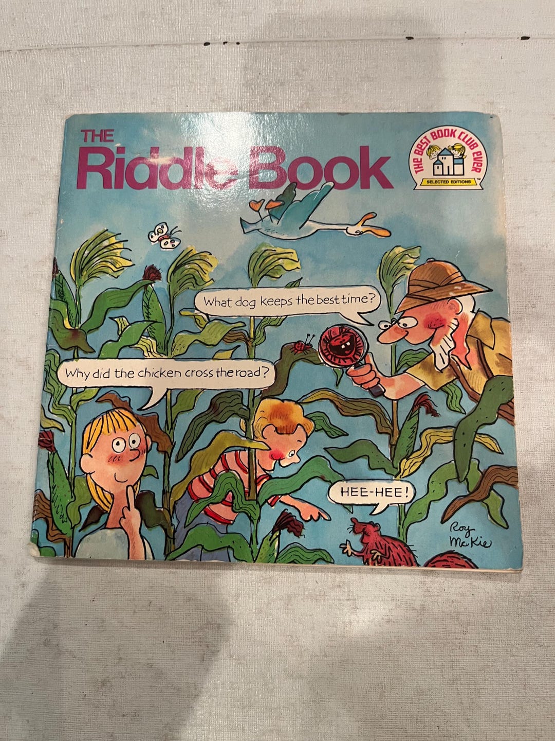 Vintage 1978 “the Riddle Book” by Roy Mckie. Paperback - Etsy