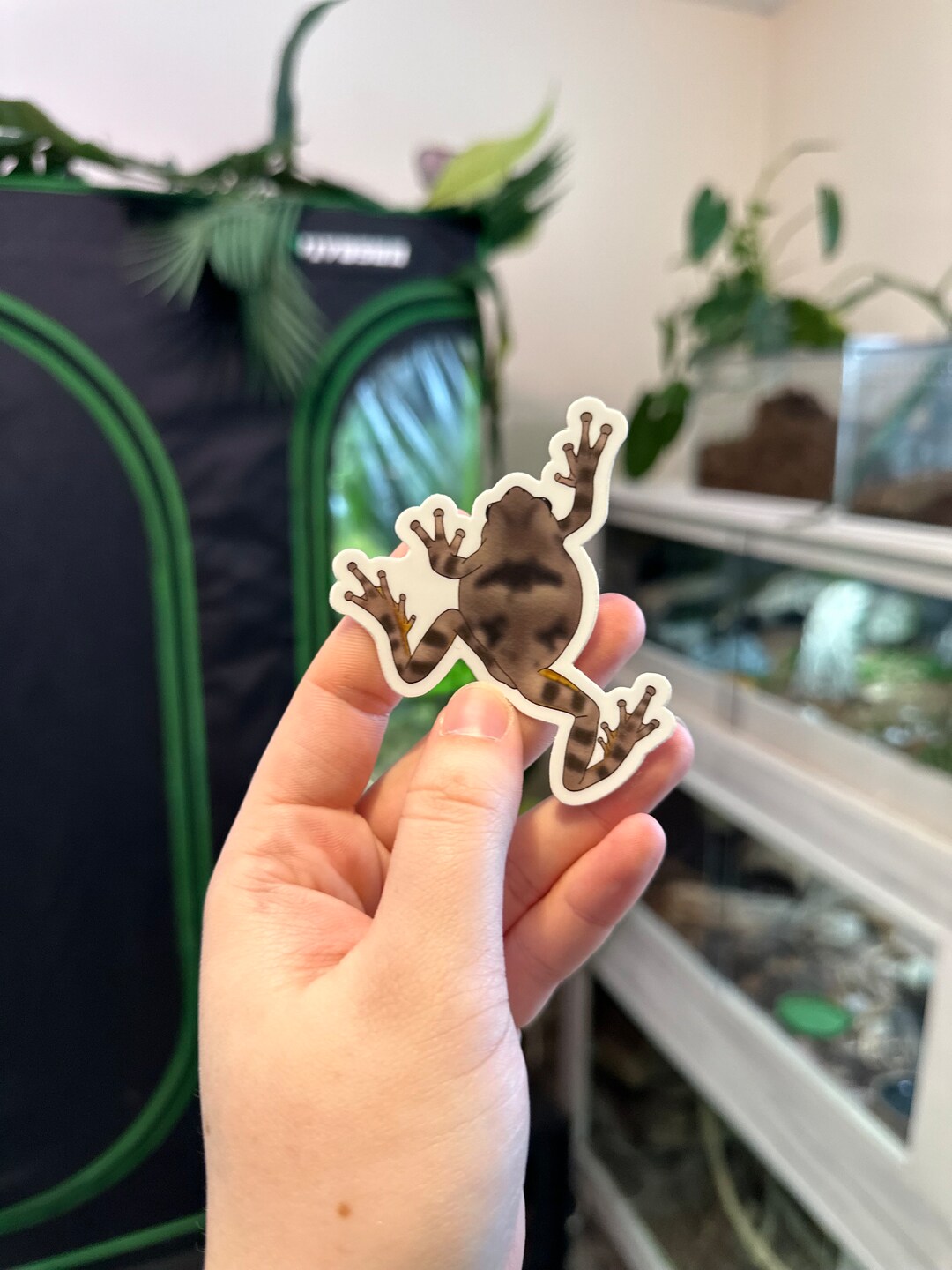 Grey Tree Frog Stickers - Etsy