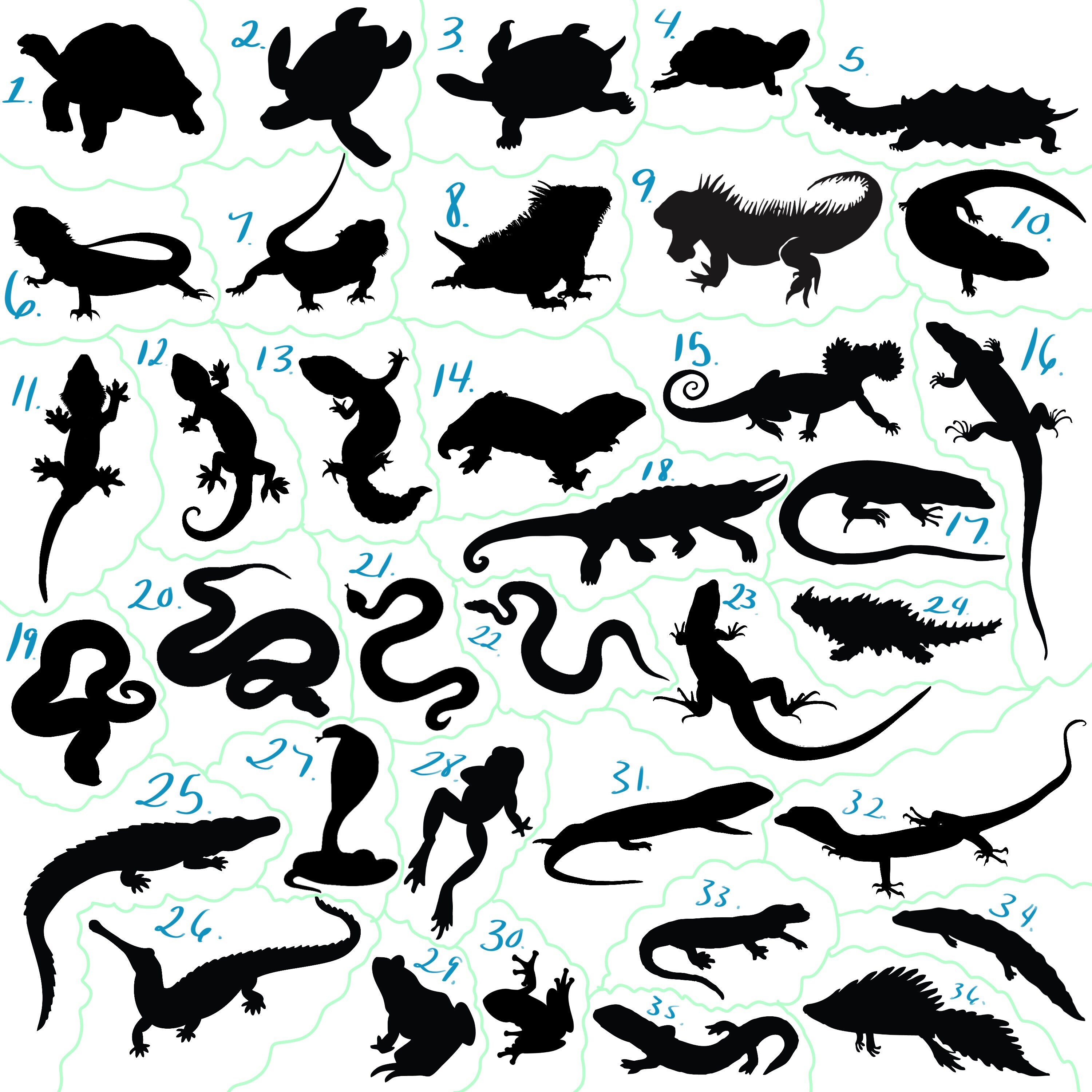 Custom Reptile Keeper Decal // Reptile Car Window Decals | Etsy