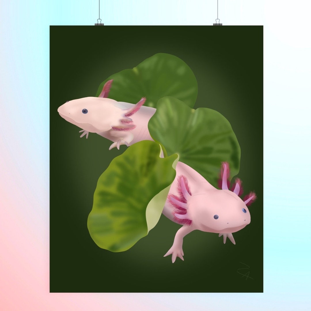Axolotl Floral Art Print - Etsy