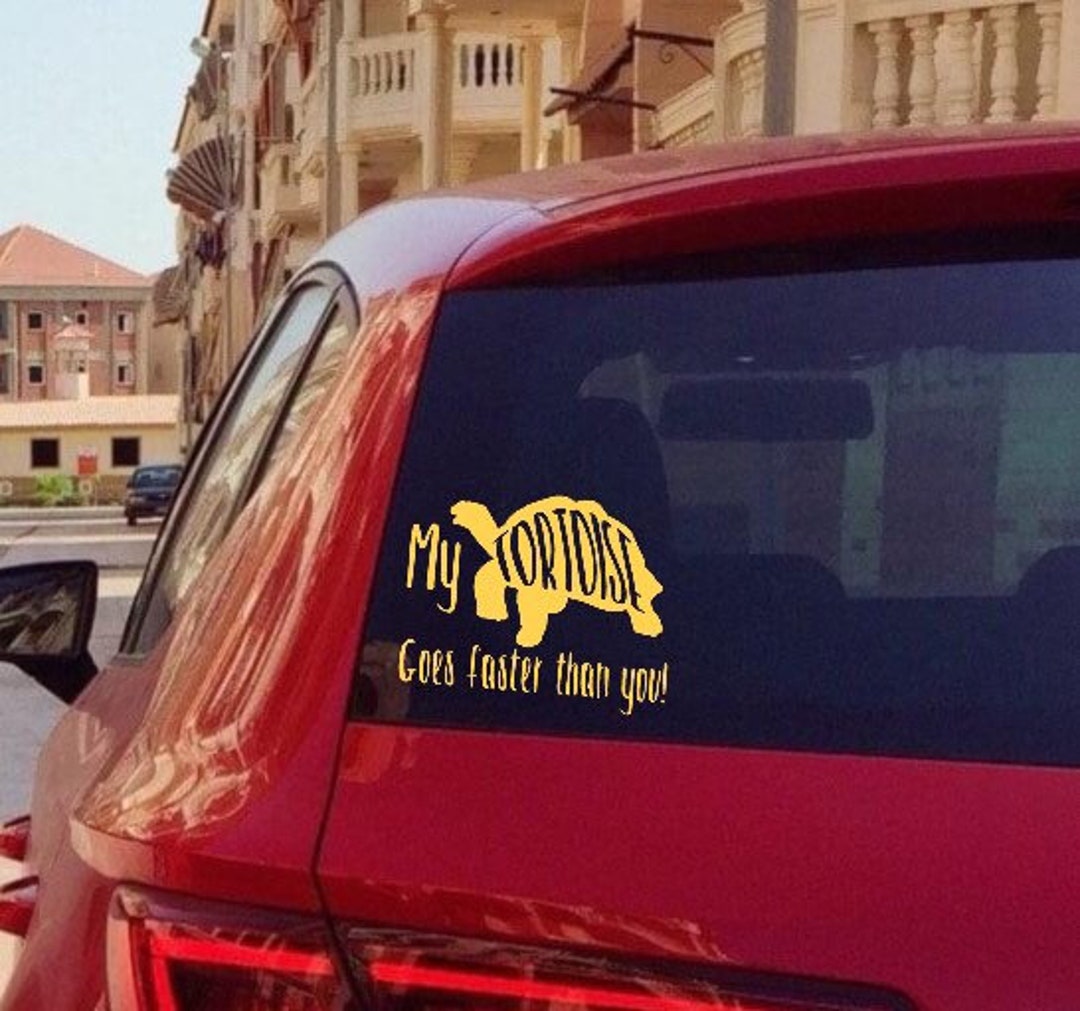 My Tortoise Moves Faster// Funny Car Decal // Reptile Car Window Decals ...