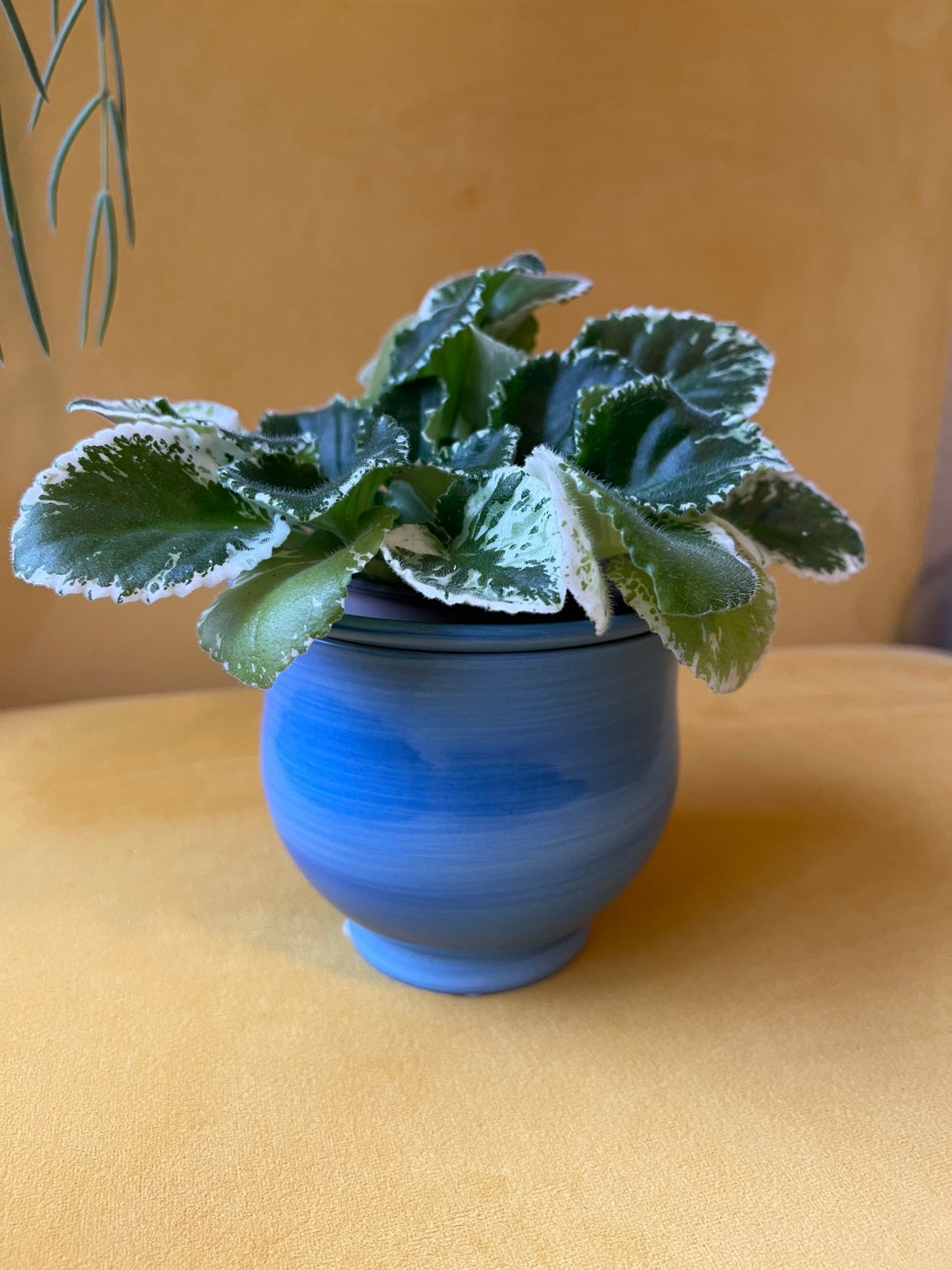 Ceramic Self Watering Planter, Great for African Violets & Begonias, 4 ...