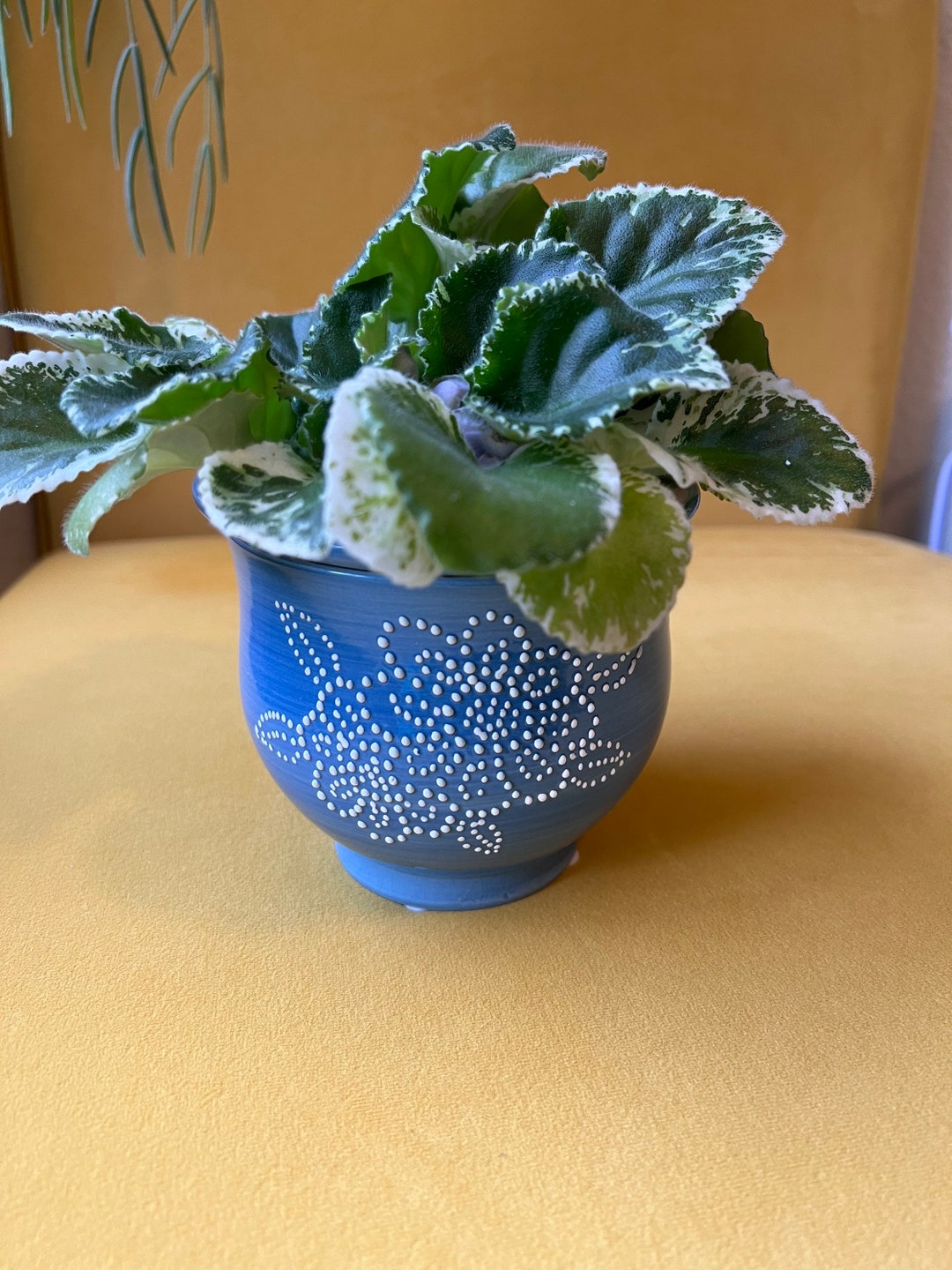 Ceramic Self Watering Planter, Great for African Violets & Begonias, 4 ...
