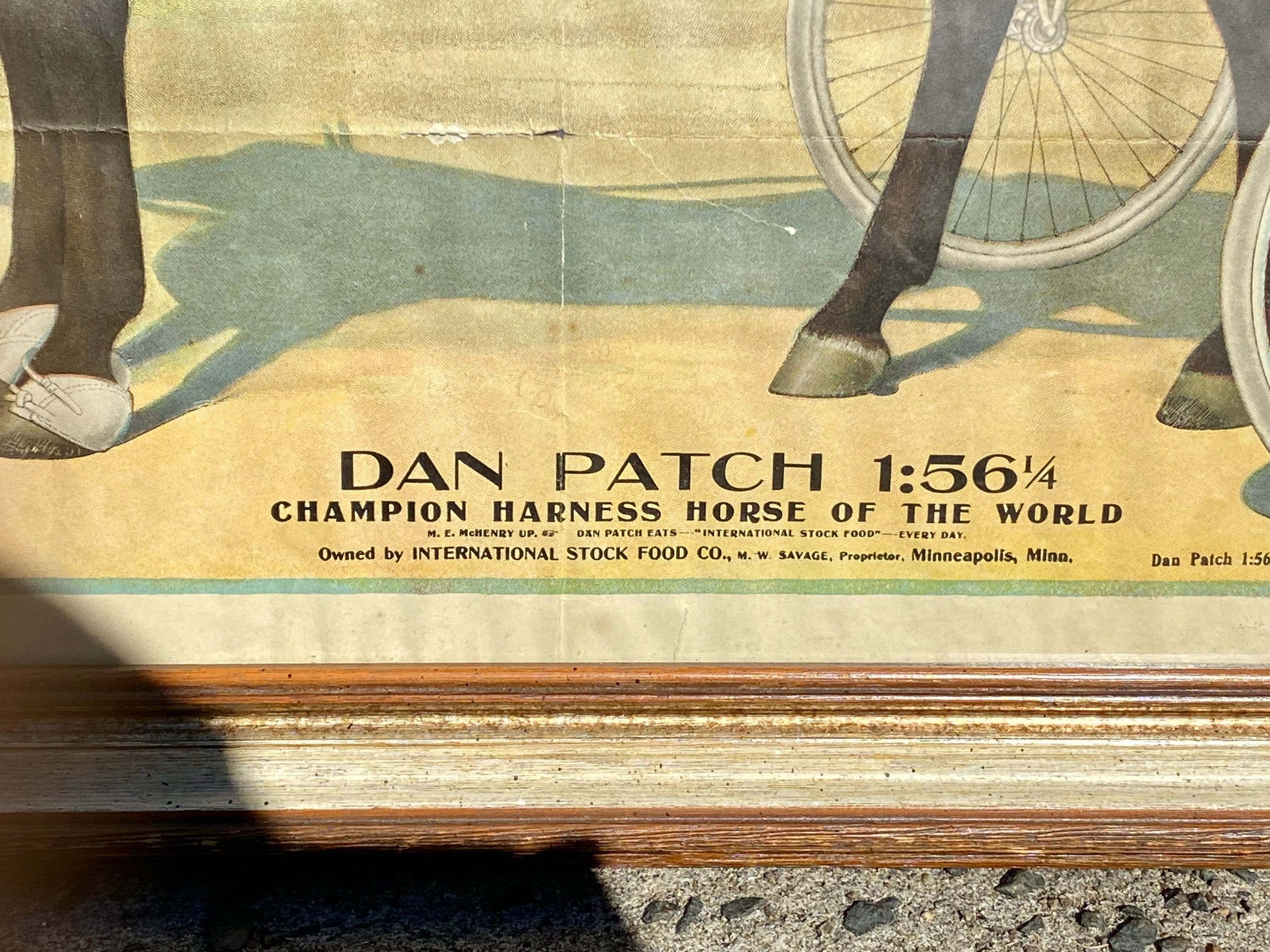 Antique Dan Patch International Stock Food Company Framed Advertisement ...