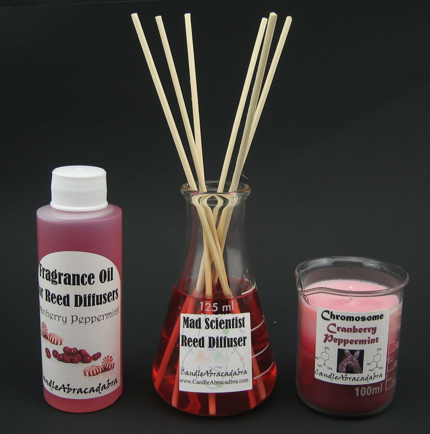 Chemistry Gift Set Mad Scientist Erlenmeyer Flask Reed Diffuser and ...