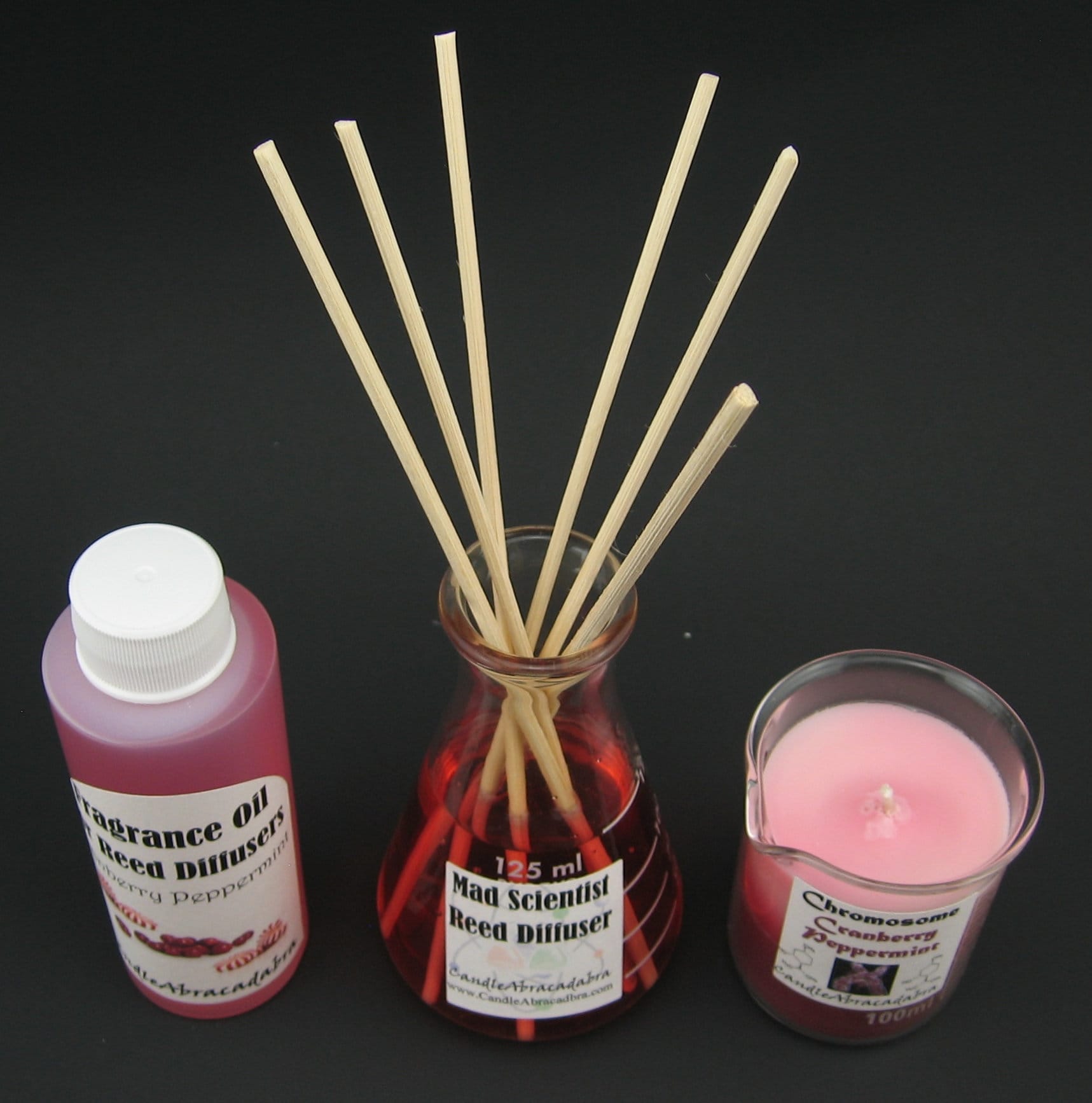 Chemistry Gift Set Mad Scientist Erlenmeyer Flask Reed - Etsy