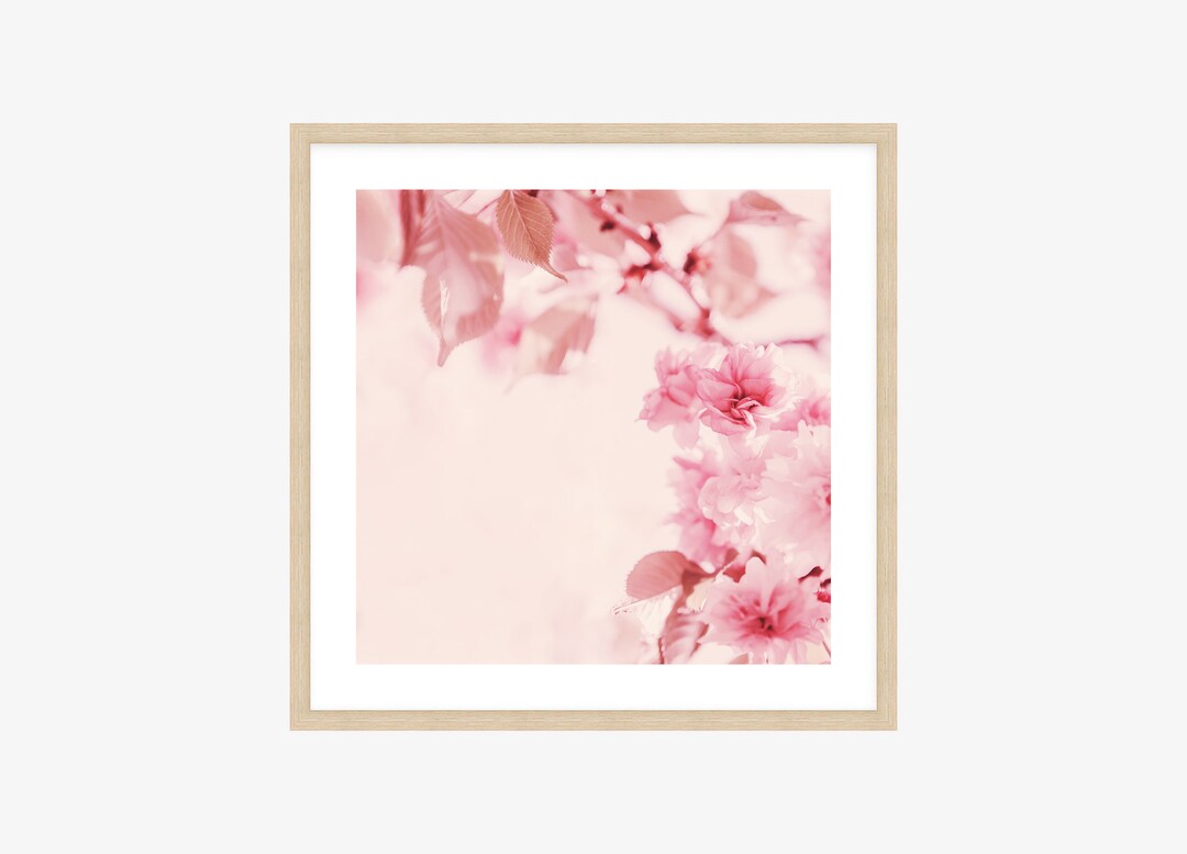 Pink Cherry Blossom Wall Art Square Print - Pink Flower Photography - Etsy