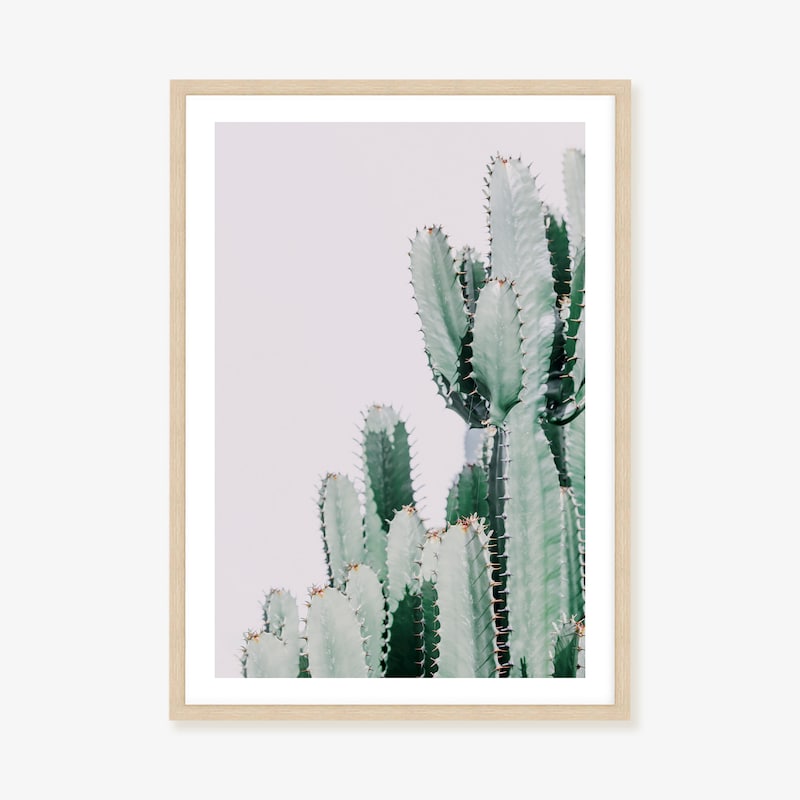 Framed Cactus Wall Art - Etsy
