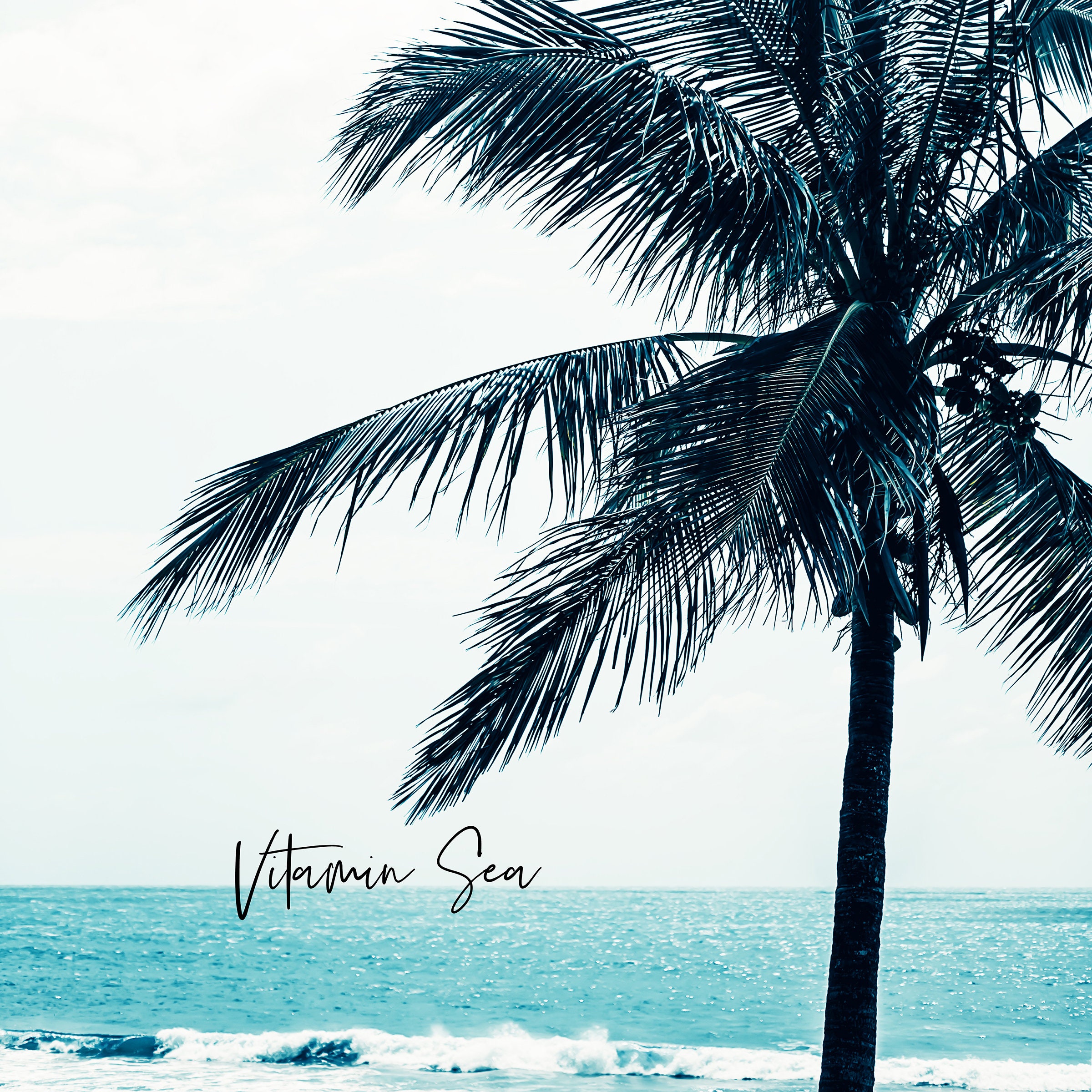 Ocean and Palm Tree Typography Framed Print Canvas or Print - Etsy