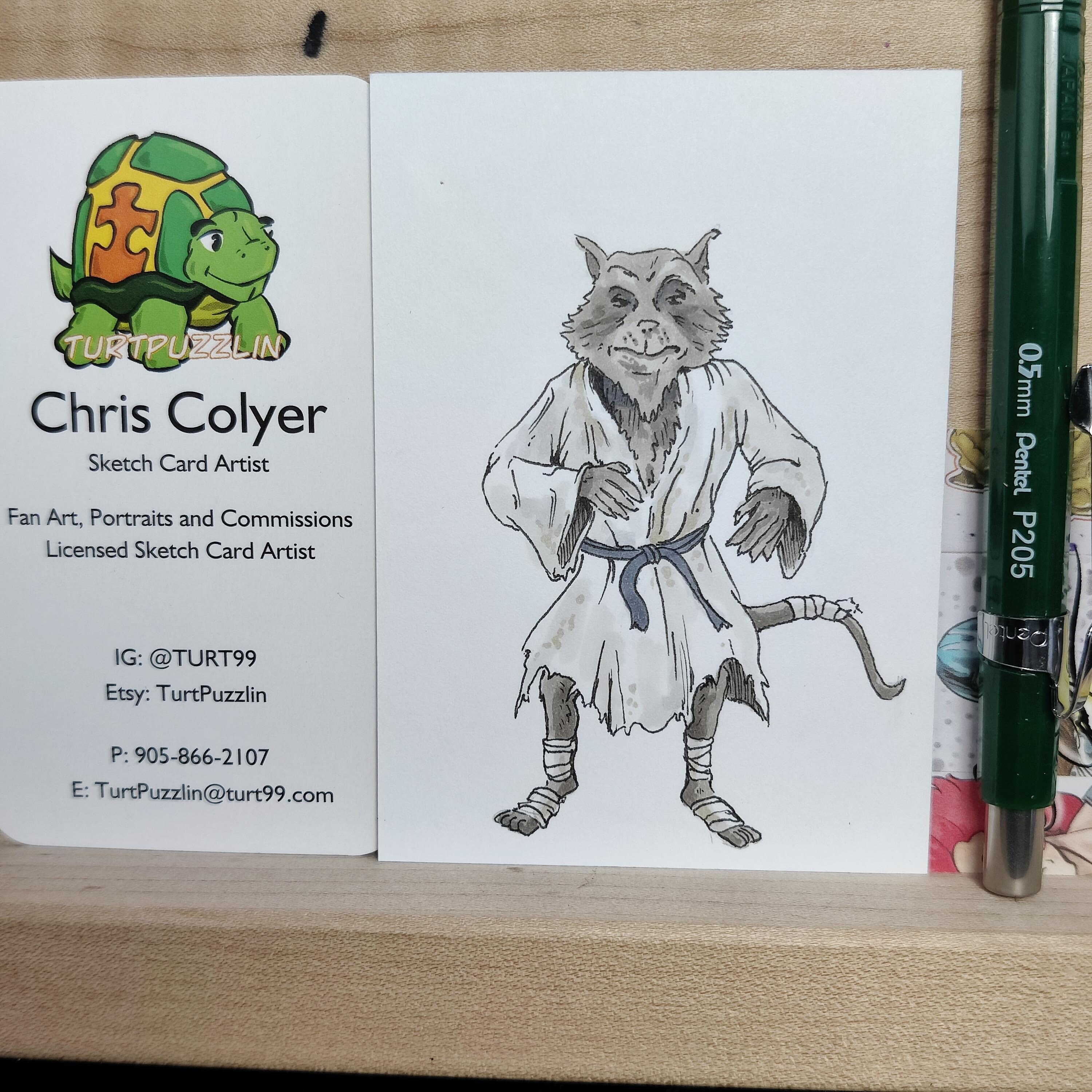 Ninja Turtles Splinter Drawing