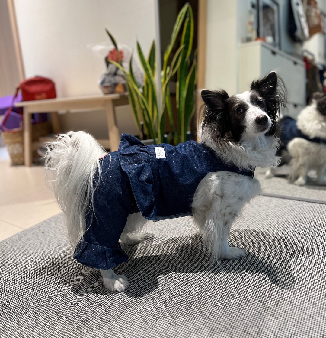 Jumpsuit LUCY Dog Coat Luxury Dog Clothes Designer Dog Clothes Fancy ...