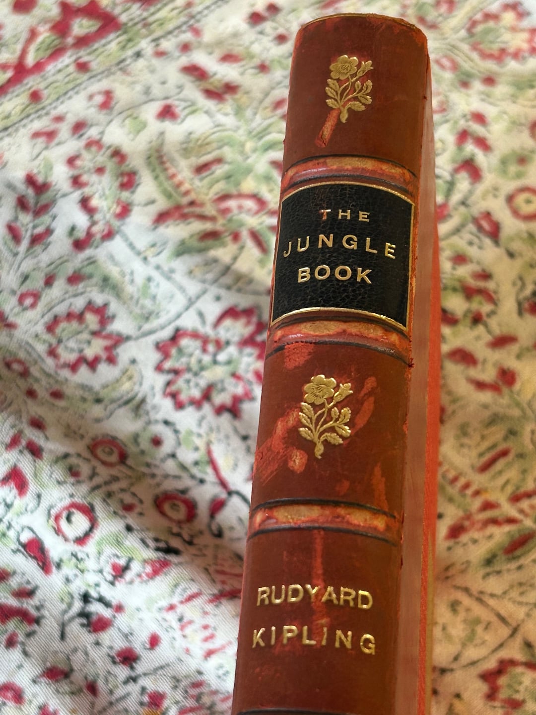 The Jungle Book by Rudyard Kipling 1922 Macmillan and Co Edition ...