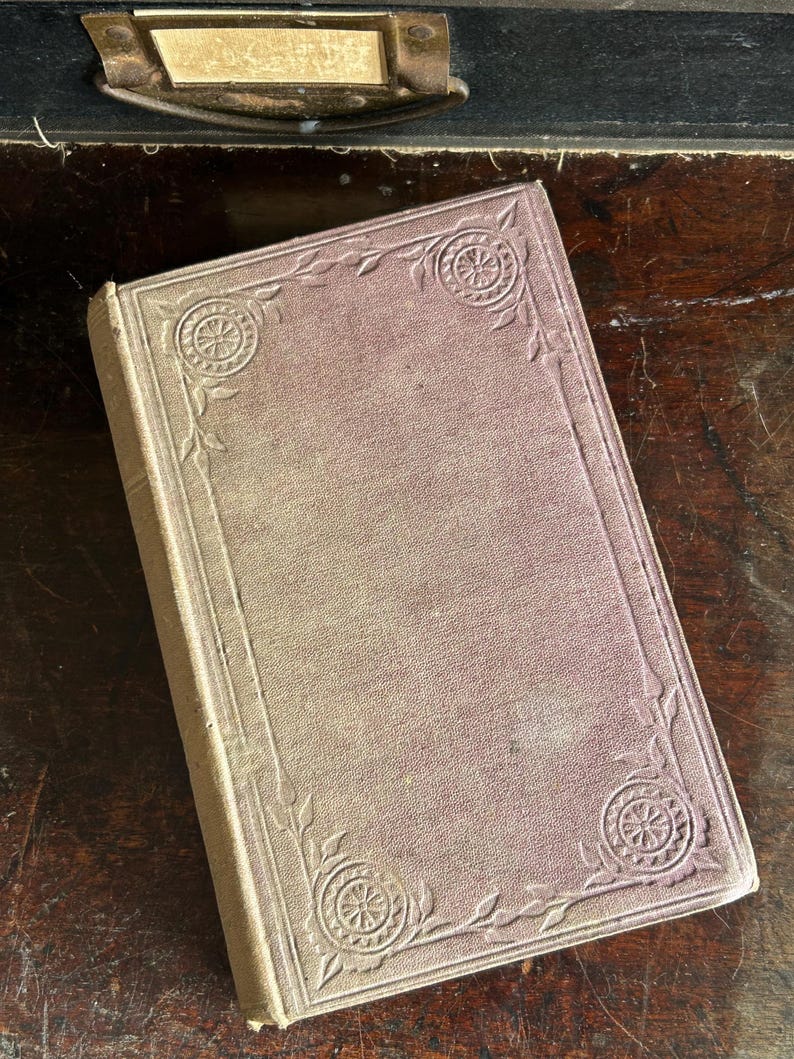Victorian Reptile Book: 1870s Illustrated Engravings - Etsy Australia