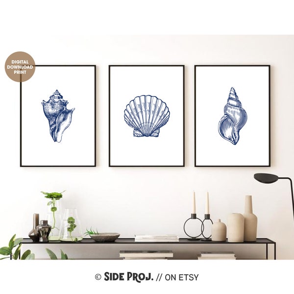 Sea Shell Print - Etsy