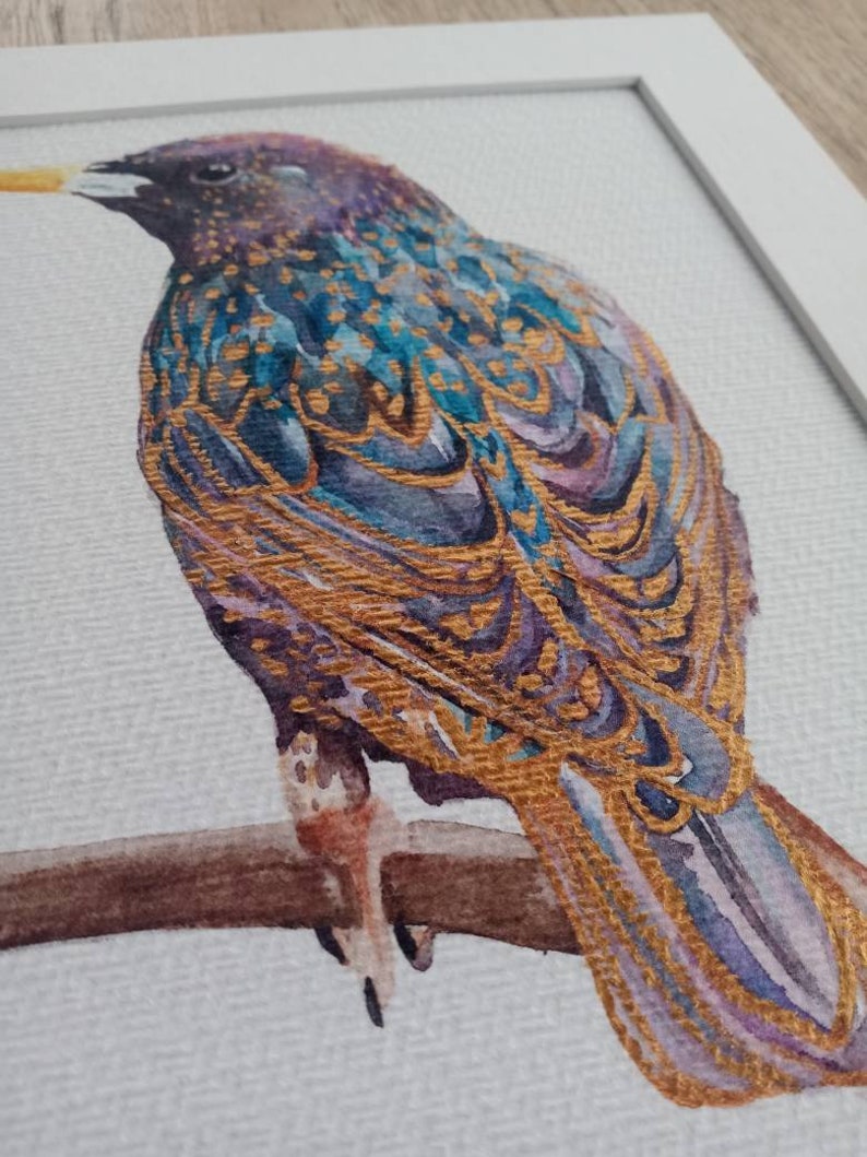Watercolour Starling Fine Art Print Irish Wildlife Series - Etsy