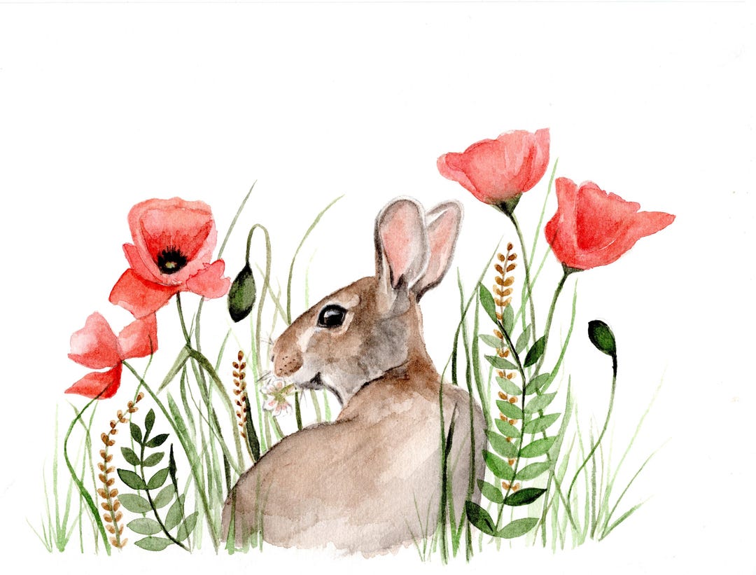 Rabbit & Poppies, Watercolour. Fine Art Print 10"x12" - Etsy