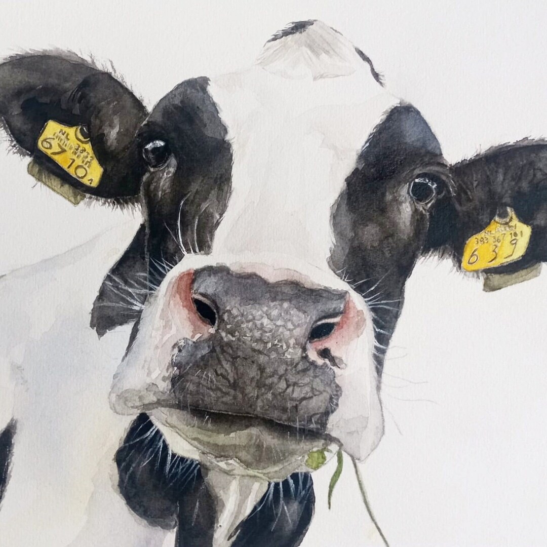 Friesian Cow in Watercolour. Fine Art Print A4 - Etsy
