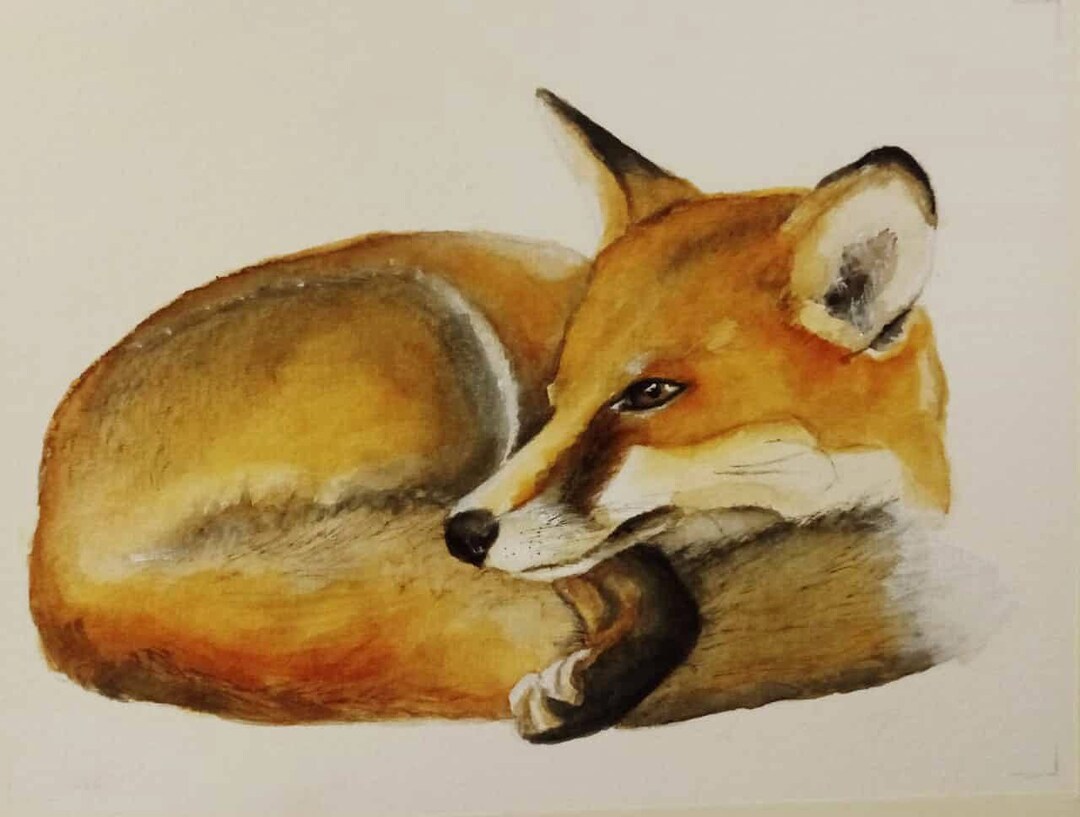 Watercolour Red Fox Fine Art Print - Irish Wildlife Series - Etsy