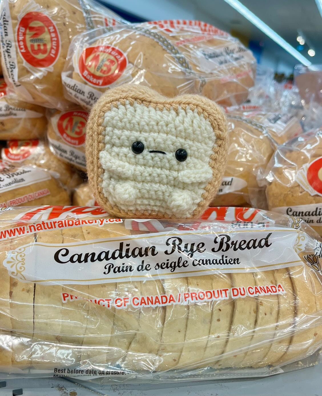 Loafie the Bread Loaf Crochet Pattern PDF Download - Etsy Canada