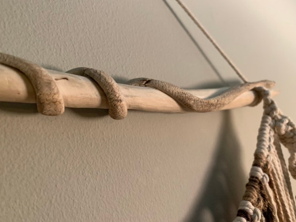 Hand Carved Snake With Hanging Macreme - Etsy