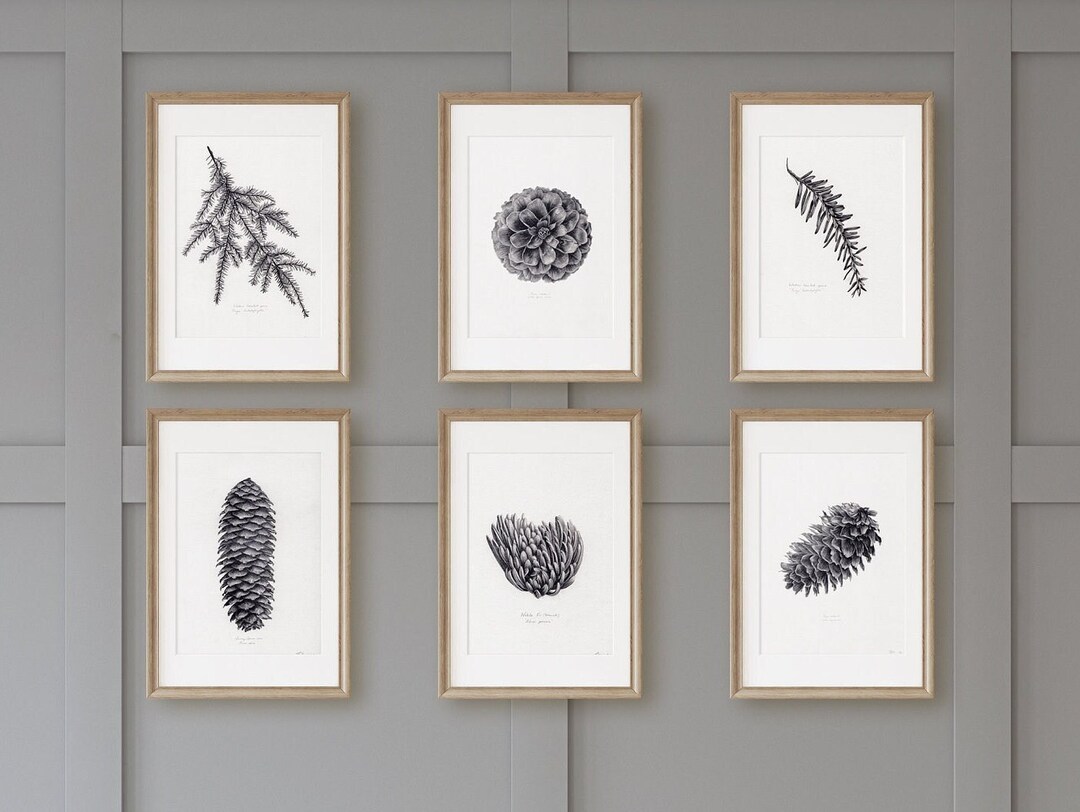 Any 6 Tree branch, Cone & Sprig Prints Luxury Hahnemühle Giclée Prints ...