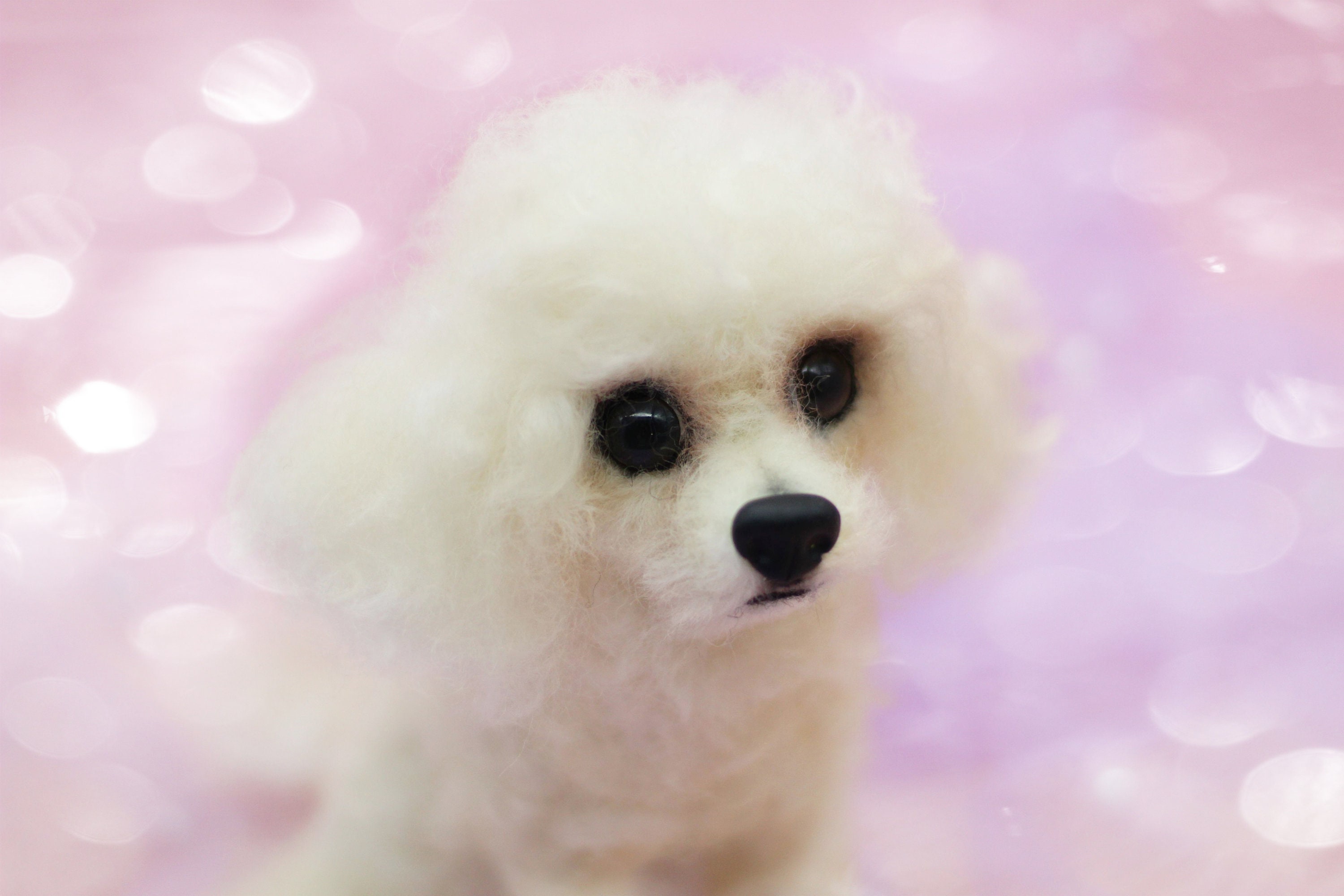 Custom Life Size Dog Replica Needle Felted Dog | Etsy