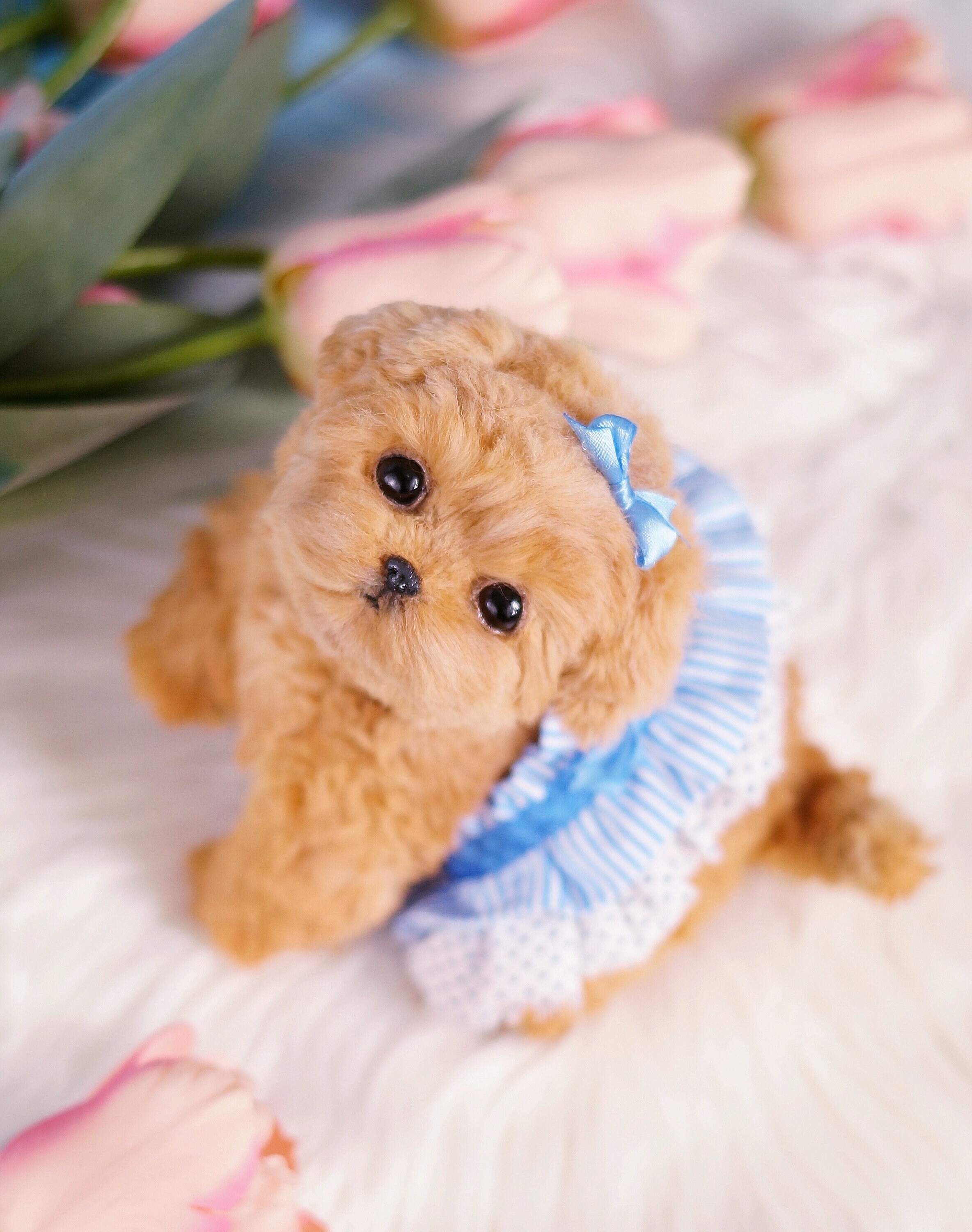 Poodle puppy puppy stuffed animal Custom Order Toy plush | Etsy