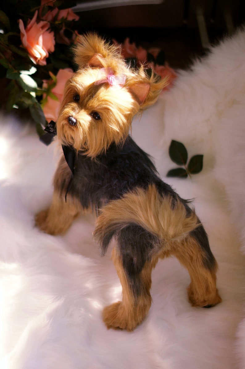Yorkshire Terrier realistic stuffed animal stuffed dog OOAK | Etsy