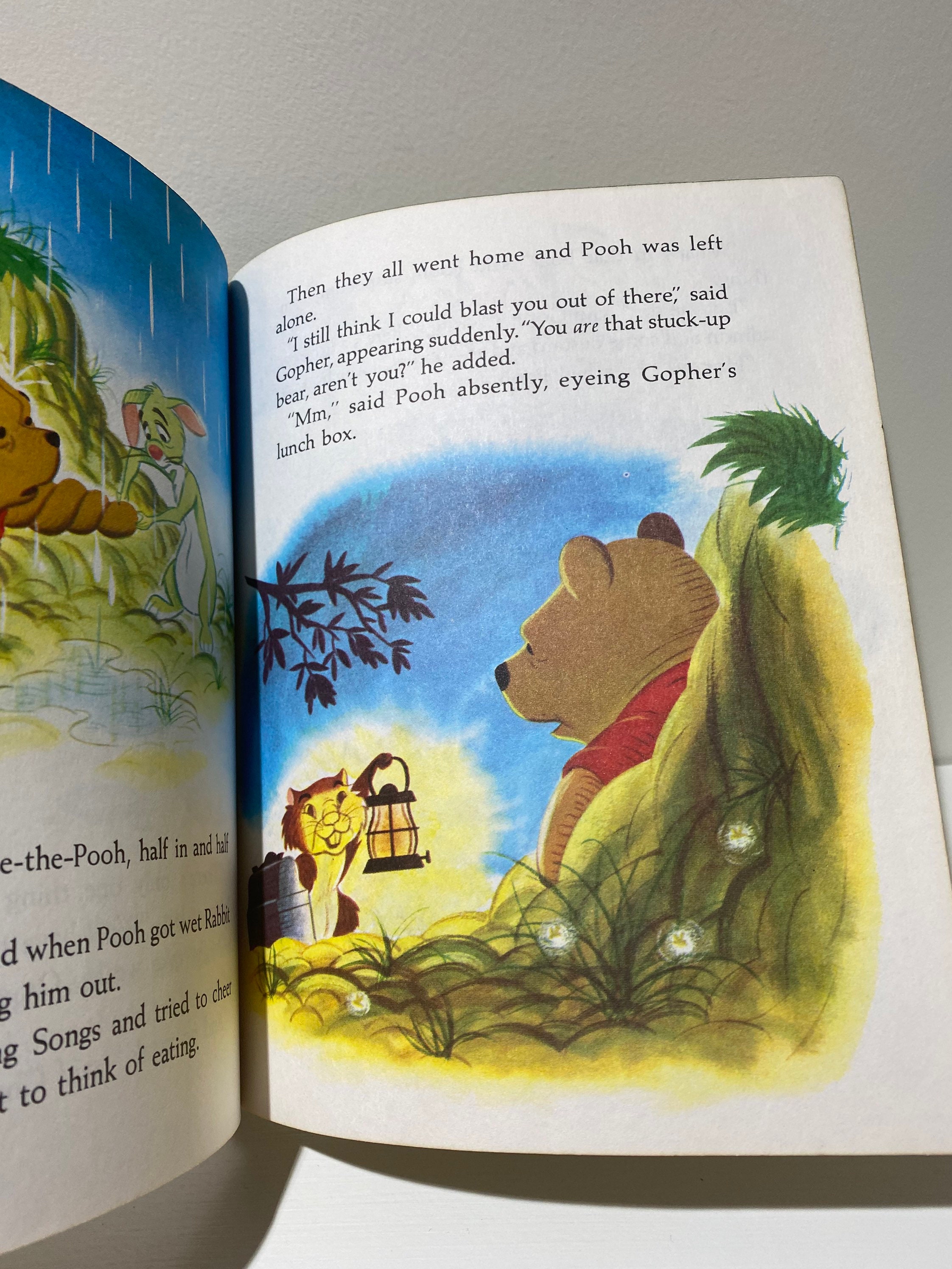 Disneys Winnie the Pooh Meets Gopher - Etsy