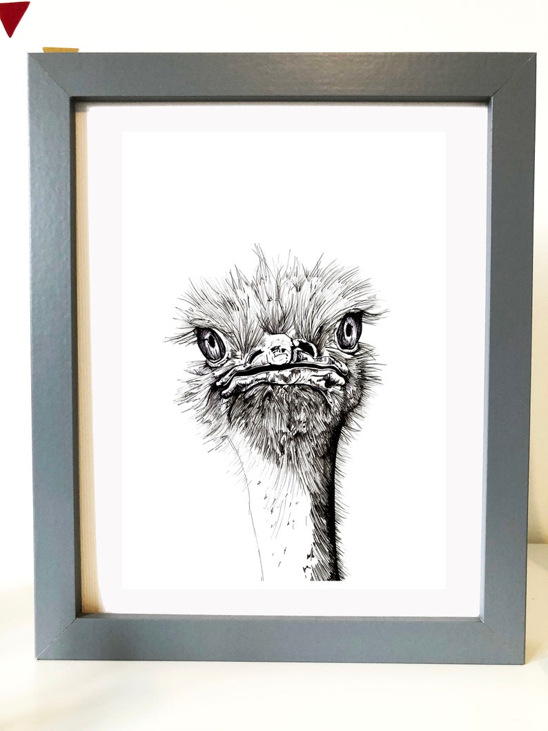 Ostrich Print Ostrich Wall Art Ostrich Illustration Ostrich - Etsy UK