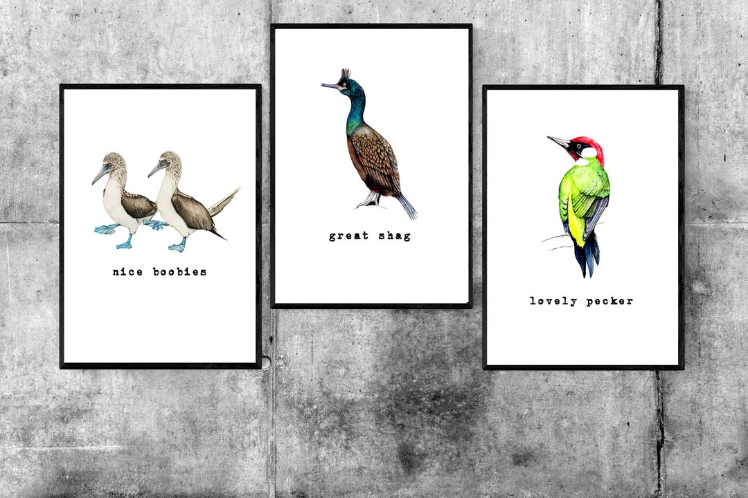 Funny Bird Prints Set, Watercolor Shag, Boobies, Pecker Art - Etsy
