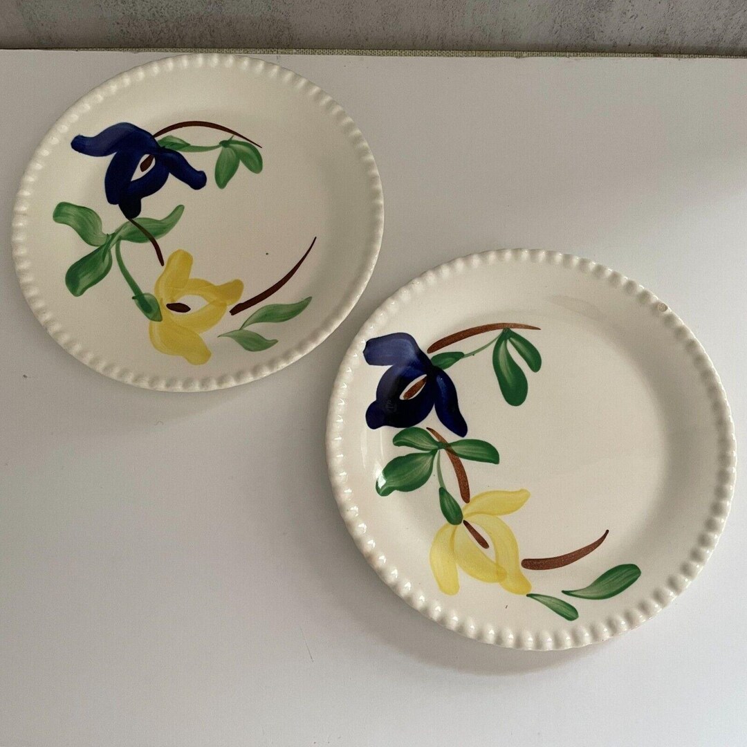 Blue Ridge Southern Pottery Carnival Hand Painted Floral Set of Two ...
