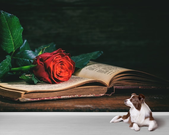 Red Rose and a Book Perfect Wallpaper for Reading Lovers | Etsy