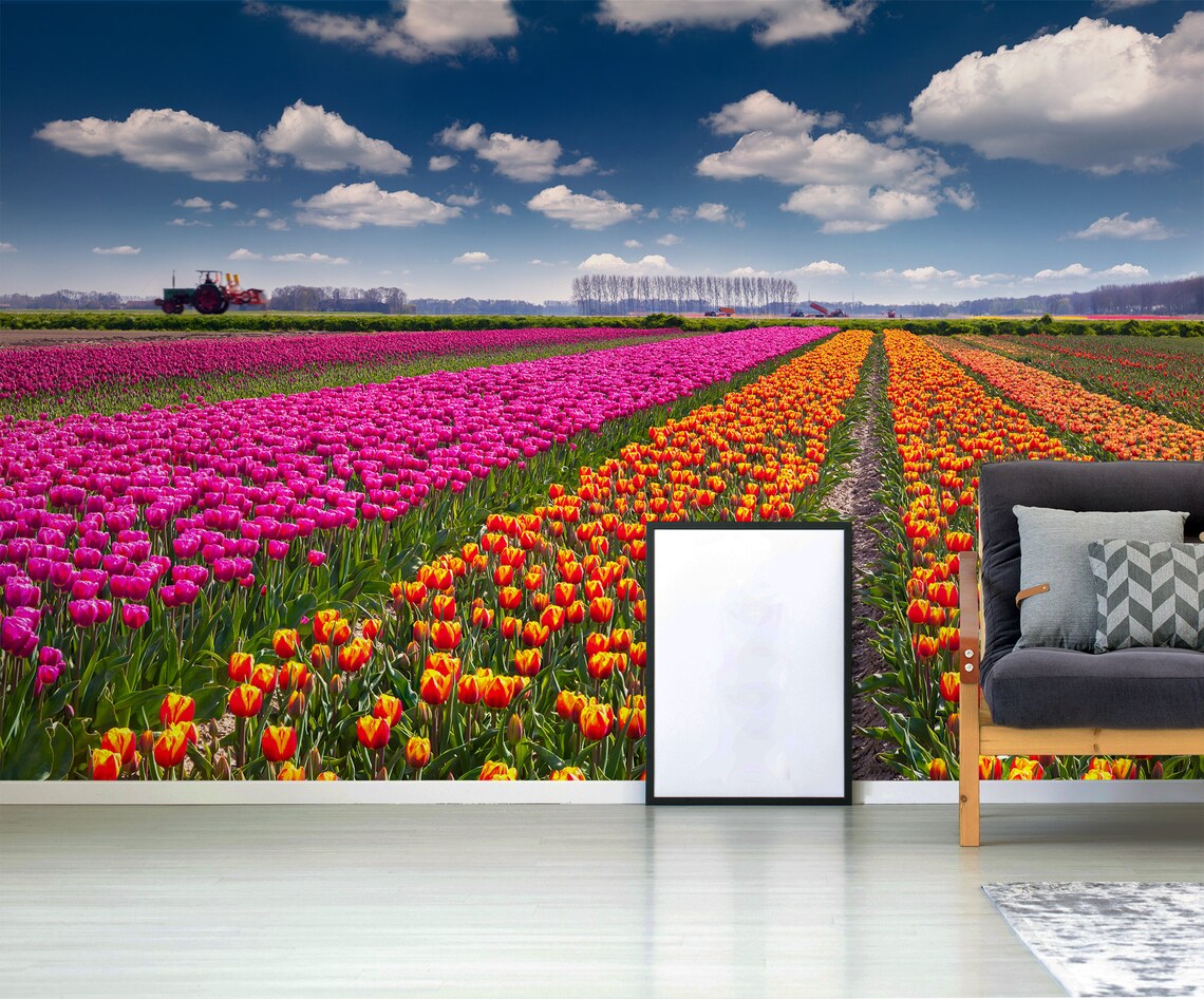 Colorful Tulip Farm Wallpaper || Peel and Stick Floral Wall Mural - Etsy
