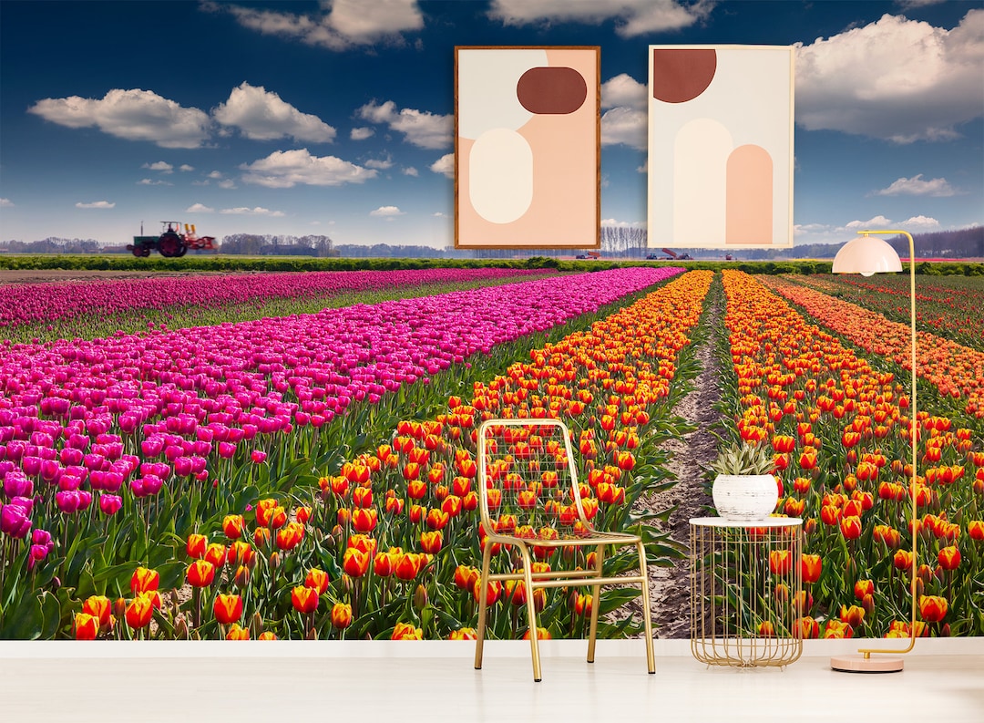 Colorful Tulip Farm Wallpaper || Peel and Stick Floral Wall Mural - Etsy