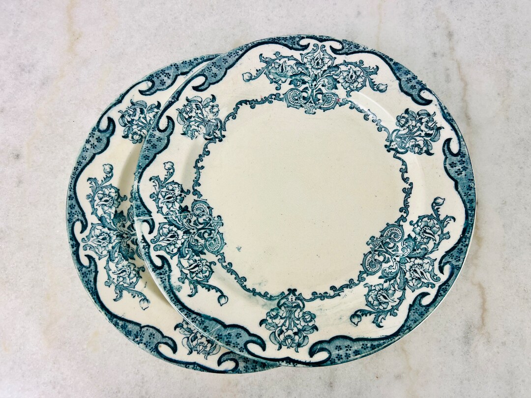 Set of 2 Antique Flow Blue Plates, Floral and Paisley Transferware ...