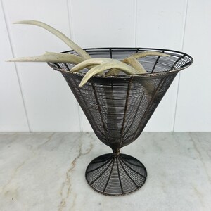 Rare French Victorian Wire Frame Urn Planter, Rusty Patina, Great for ...