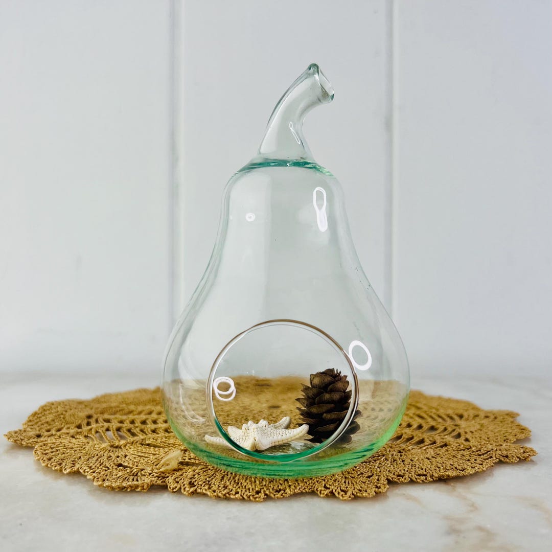 Vintage Pear-shaped Glass Terrarium, for Air Plant, Succulent or Fairy ...