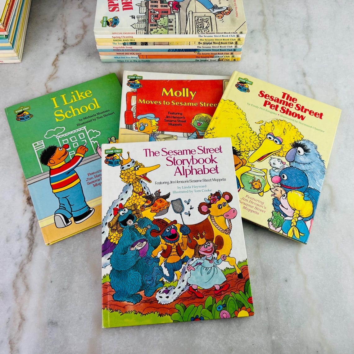 Build a Library: Vintage 1980s the Sesame Street Book Club 25 Volumes ...
