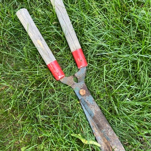 Vintage Garden Shears, Garden Tools, Trimming Shears, Antique Rusty ...