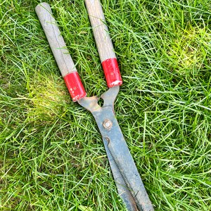 Vintage Garden Shears, Garden Tools, Trimming Shears, Antique Rusty ...