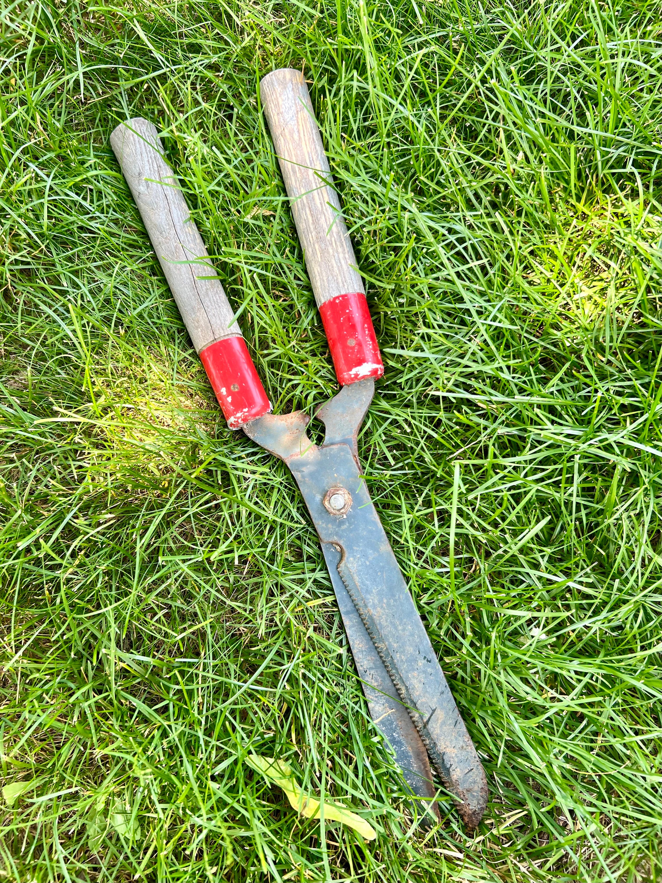 Vintage Garden Shears, Garden Tools, Trimming Shears, Antique Rusty ...