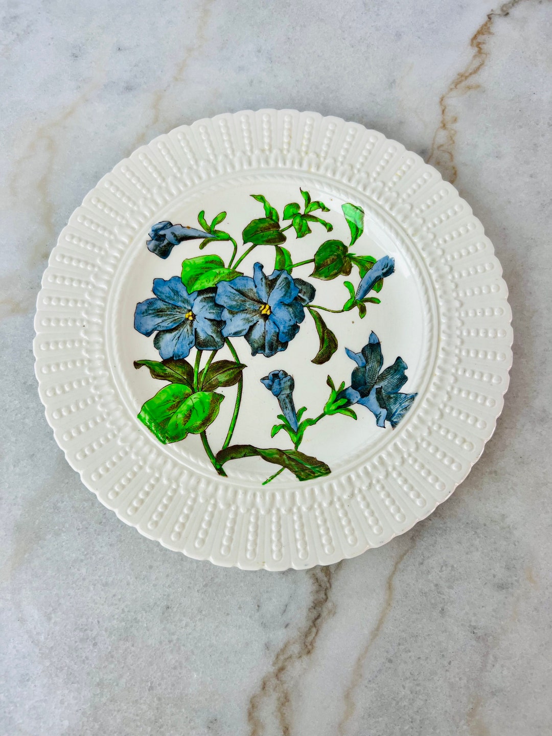 Antique 1920s Royal Cauldon Floral Plate, Blue Clematis, Art Deco Hand ...